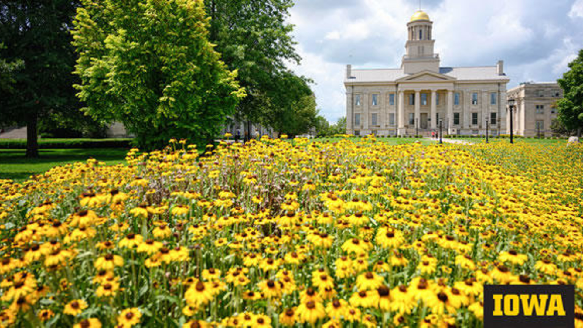 Zoom Backgrounds - Alumni | Tippie College of Business - The University ...